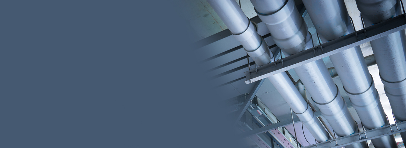 shot-slides - Murjoy